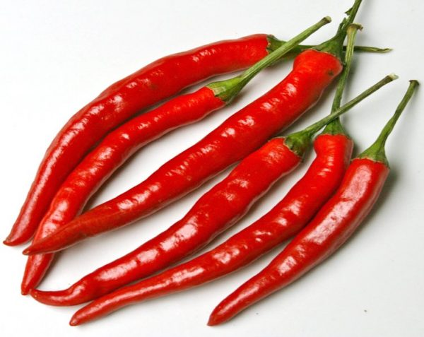 Serrano, Chili - Madsen Greenhouse